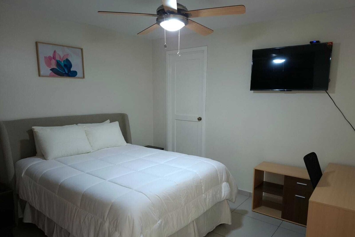 Quarto com cama, ventilador de teto, televisão e uma porta.