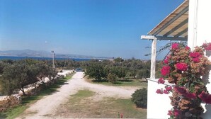 Vista de uma estrada rural que leva a uma casa com jardim e flores de buganvillea.