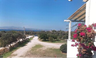 Vista de uma estrada rural que leva a uma casa com jardim e flores de buganvillea.