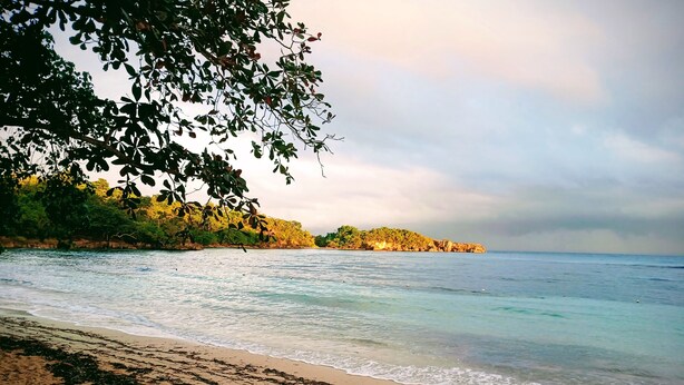 Uma praia com águas claras, areal arenoso e uma colina arborizada ao fundo.