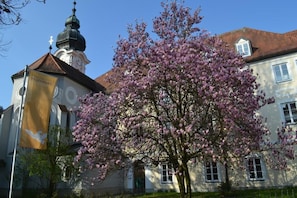 Um edifício com uma torre do relógio, uma bandeira e uma árvore florida com flores cor-de-rosa.