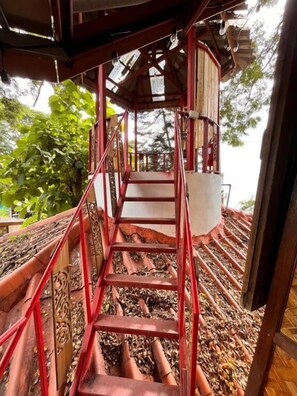 Uma escadaria de madeira leva a um espaço coberto com vista para o verde.