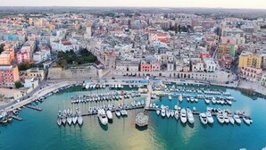 Uma marina com vários barcos atracados, rodeada por uma área urbana densa e edifícios coloridos.