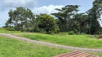 Vista do alojamento