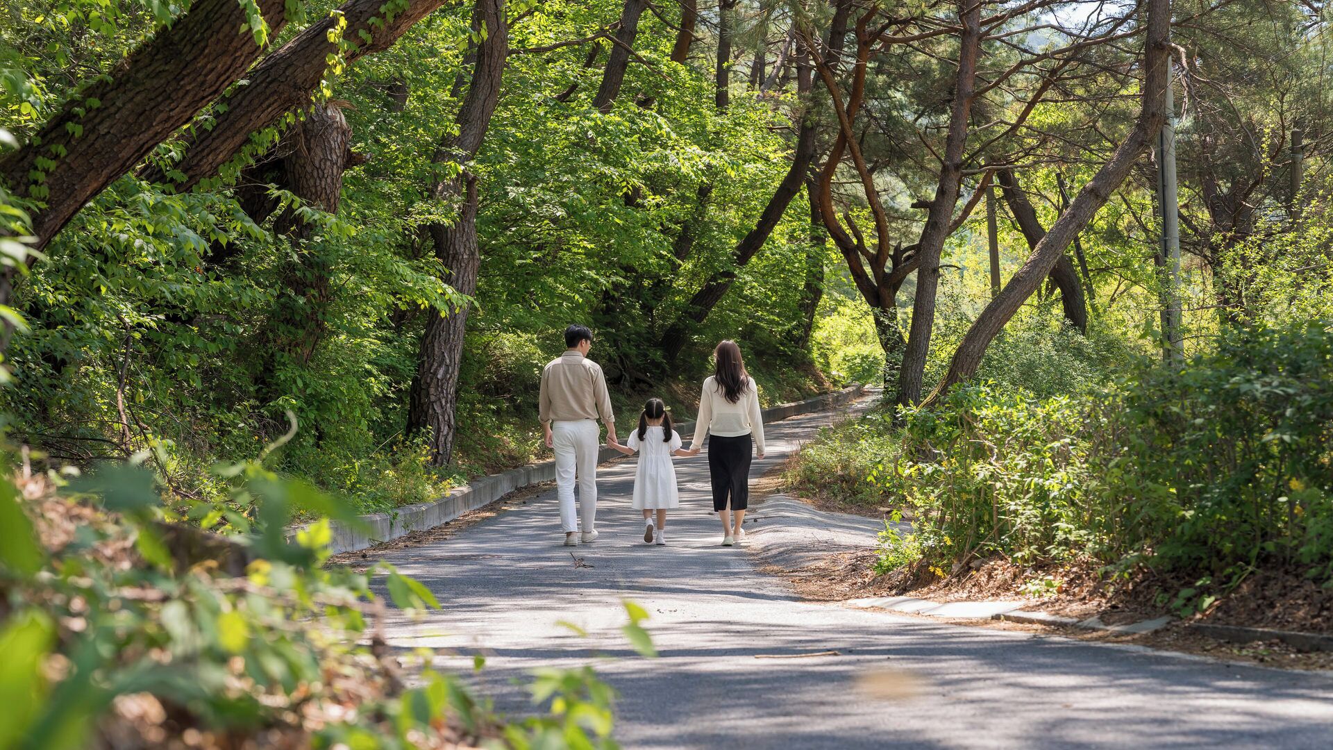 Um caminho pavimentado ladeado por vegetação exuberante, provavelmente em um parque ou área natural.