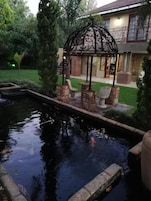 Piscina externa