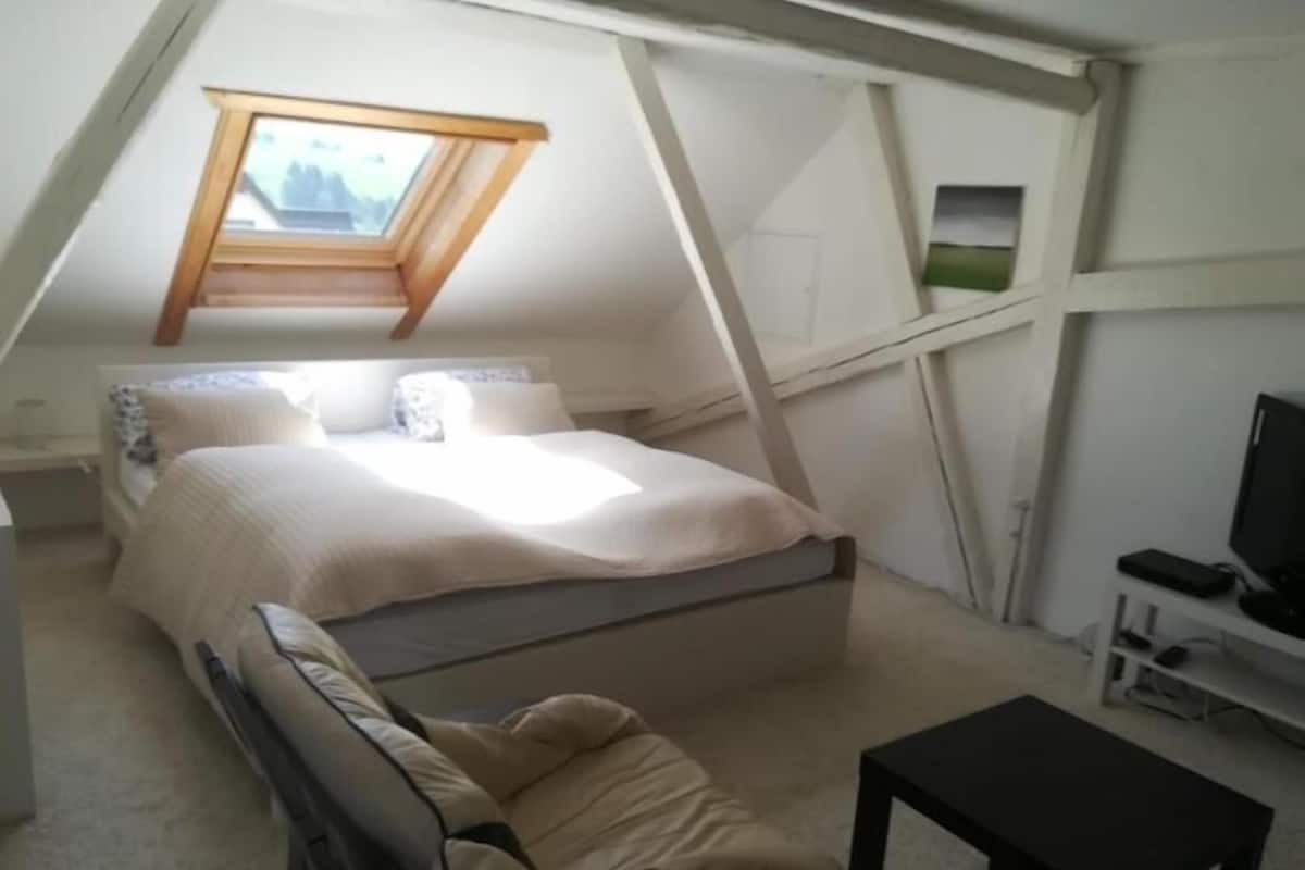 Quarto com cama, escrivaninha, cadeira, televisão e claraboia.