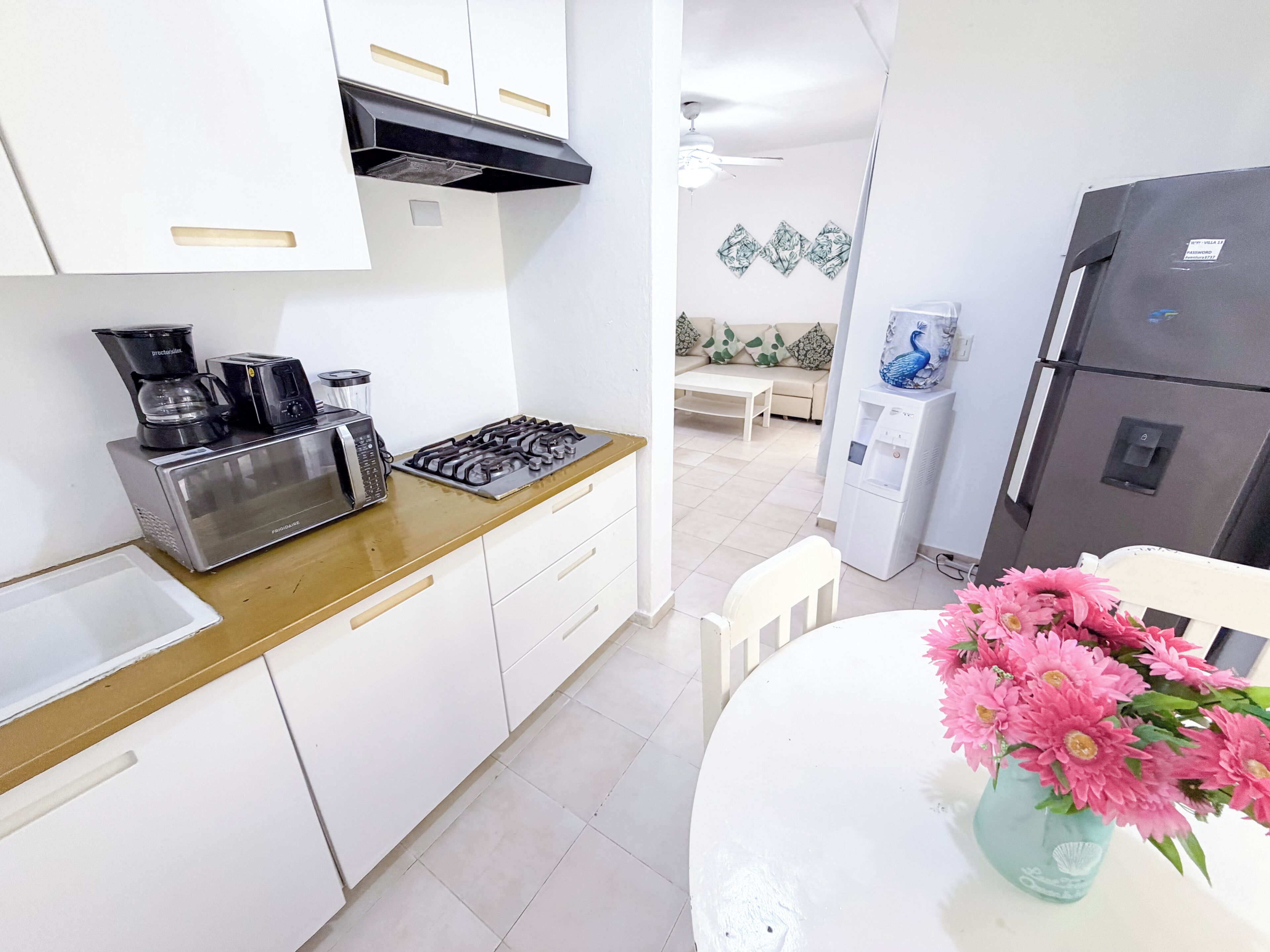 Villa Júnior, 1 quarto | Cozinha privada | Um frigorífico, uma placa de cozinha, uma cafeteira/bule 