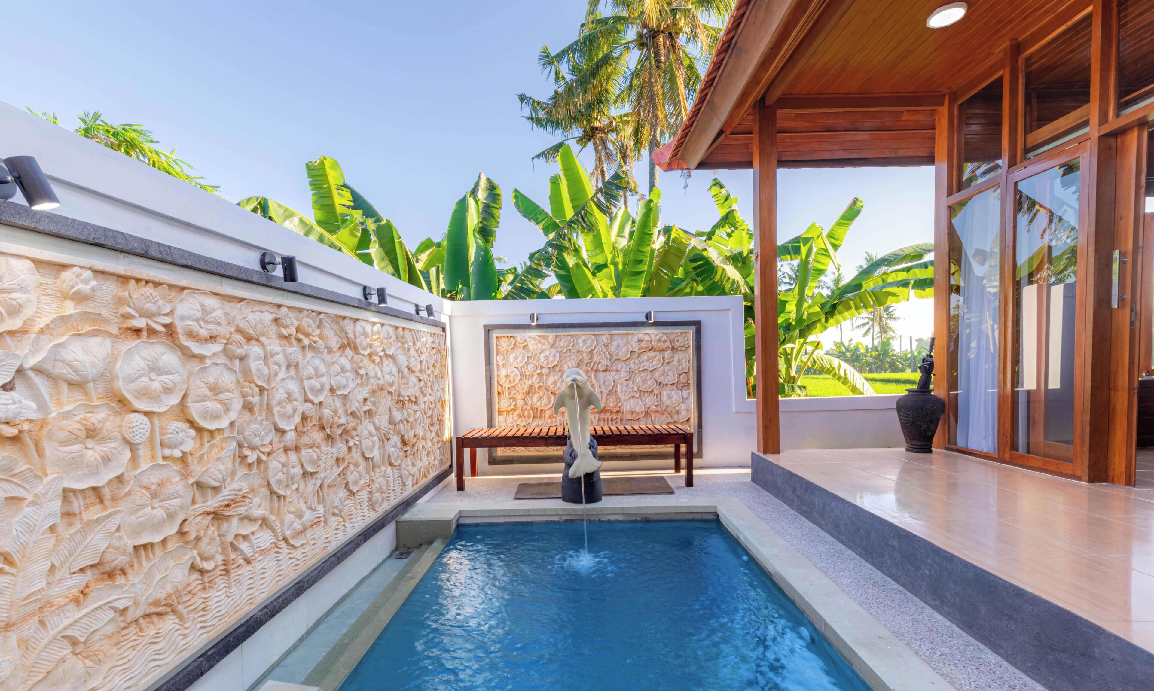 Piscina externa