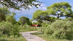 Uma trilha rural leva a um edifício de telhado vermelho, rodeado por árvores verdes.