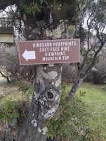 Uma placa indicativa numa árvore.