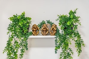 Uma prateleira branca com três estátuas douradas de Buda, adornada por plantas pendentes verdes.
