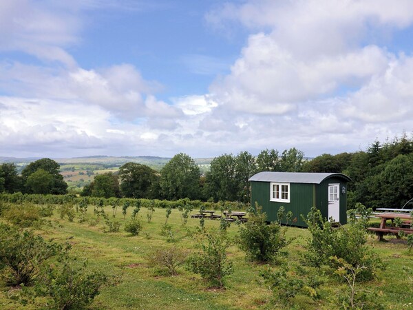 Shepherds Hut At East Hill Pride - Sidmouth