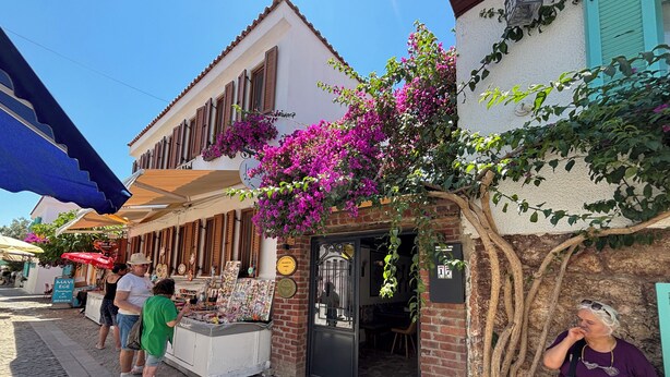 Rua com uma loja exibindo diversos produtos, um edifício com fachada de tijolos e uma árvore com flores roxas.
