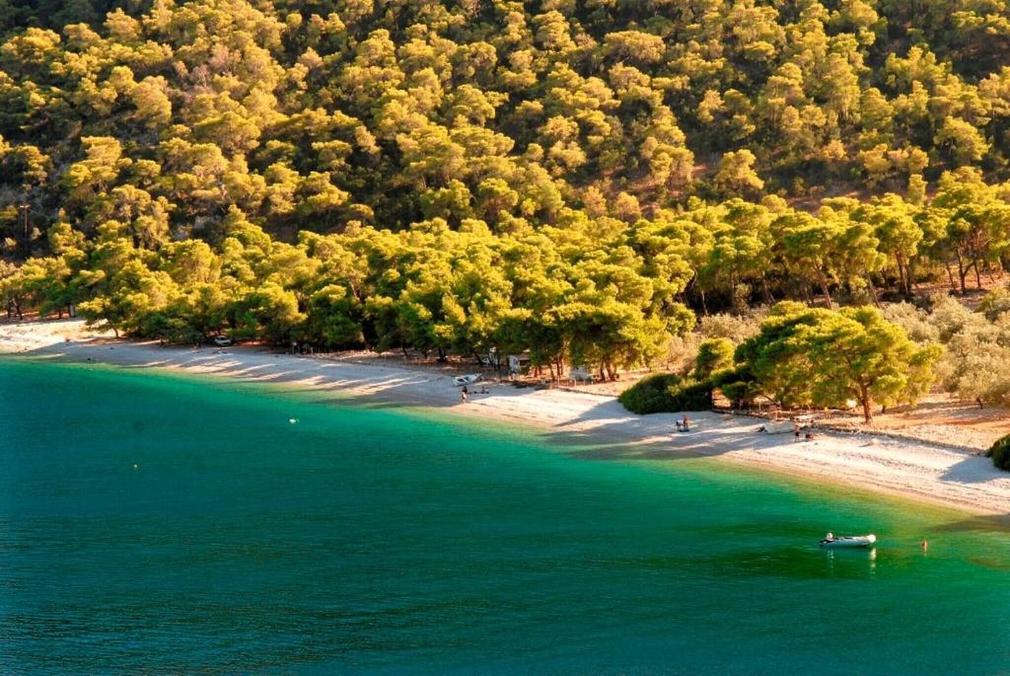Paisagem costeira com praia, árvores e um barco.