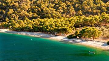 Paisagem costeira com praia, árvores e um barco.