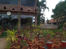 Área da propriedade