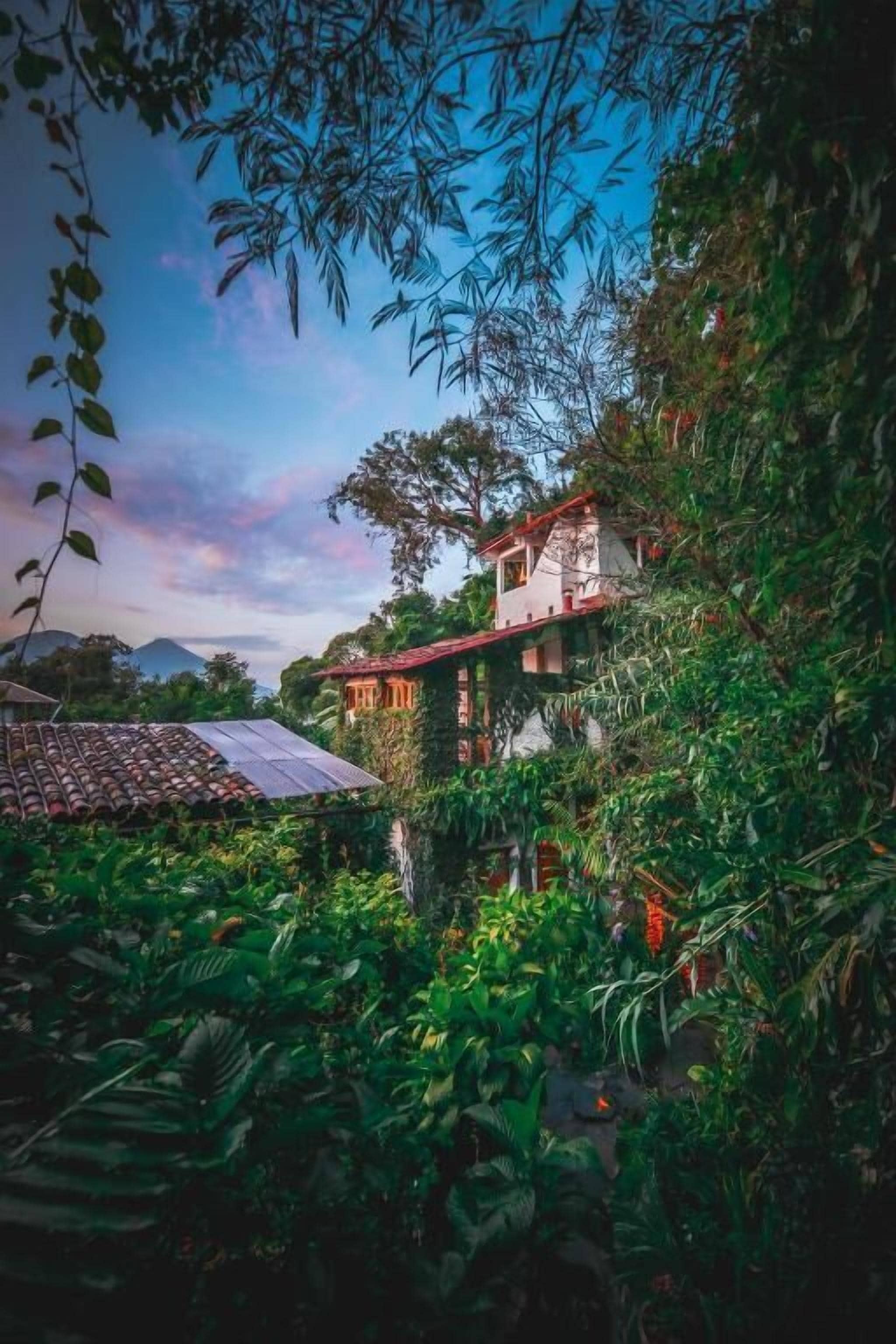 Uma casa rodeada por vegetação densa, com telhado vermelho e uma varanda visível.