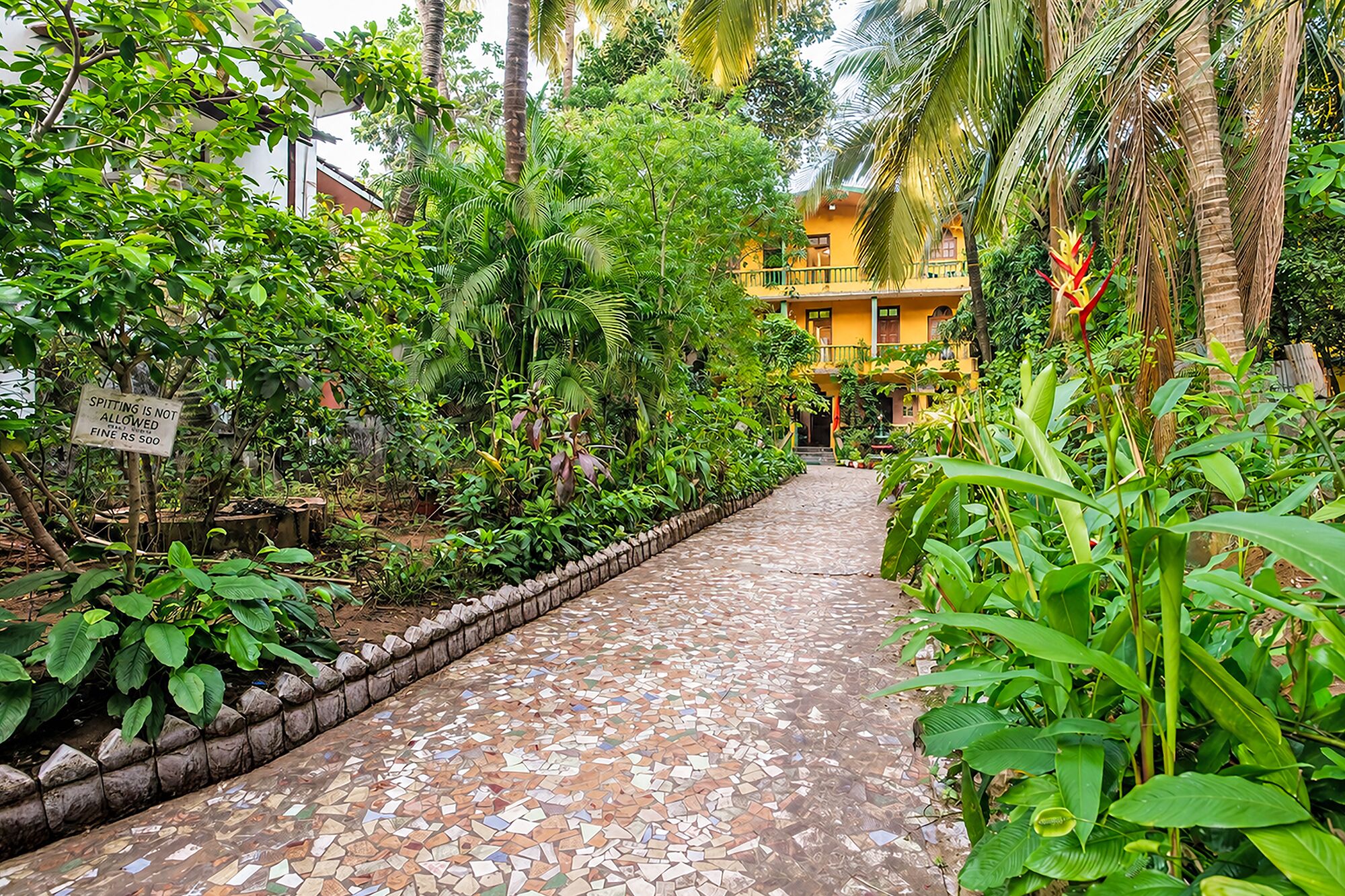 Jardim