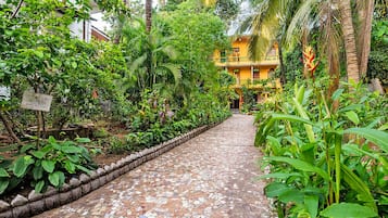 Jardim