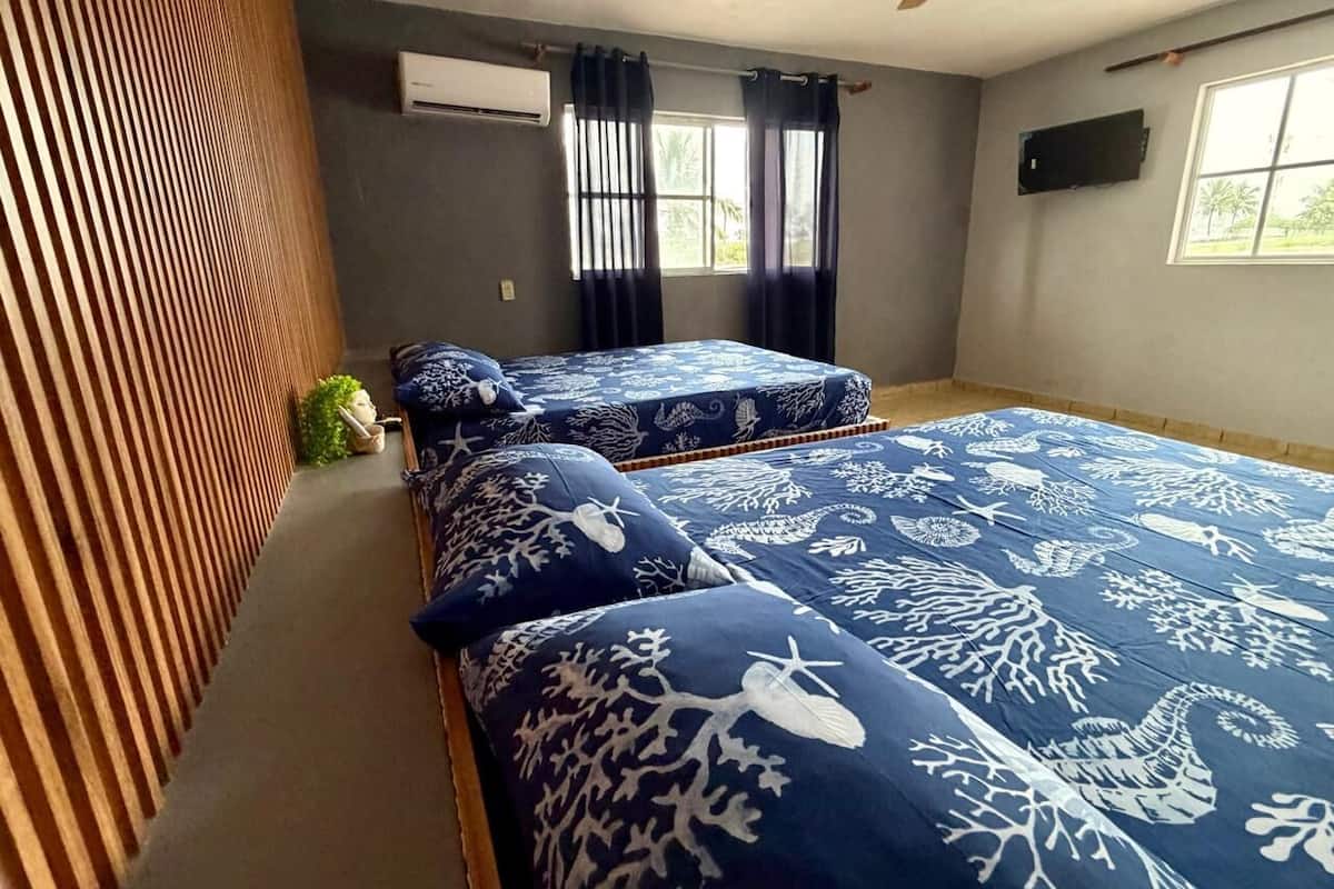 Quarto com duas camas, ventoinha no teto, ar condicionado, janela com cortinas e uma pequena planta.
