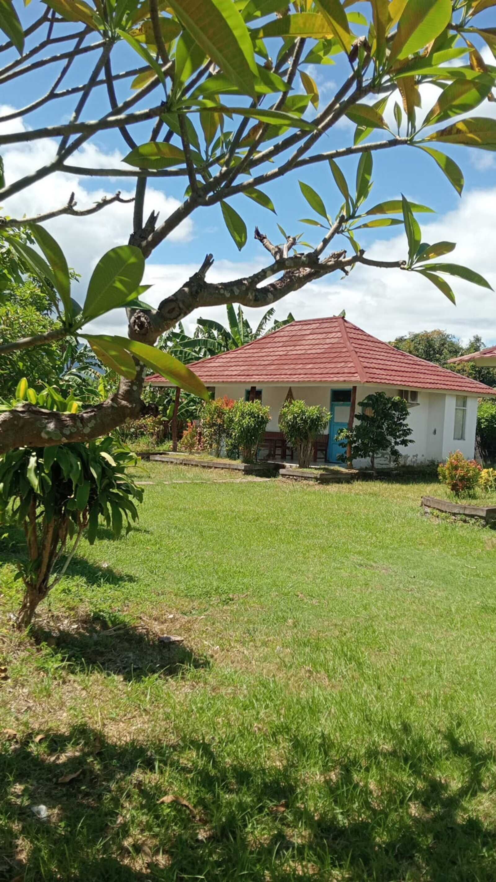 Uma casa com telhado vermelho, cercada por um gramado bem cuidado e diversas plantas.