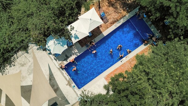 Vista aérea de uma piscina retangular rodeada por árvores e com guarda-sóis.