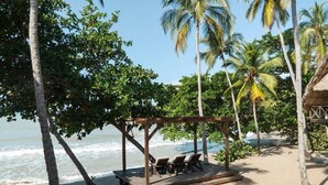 Uma praia com um deck de madeira, espreguiçadeiras e palmeiras.