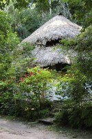 Uma cabana com telhado de palha rodeada por vegetação densa e plantas floridas.