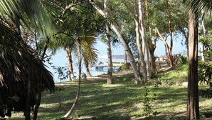 Um cenário natural com árvores, uma área gramada e vista para um corpo d'água.
