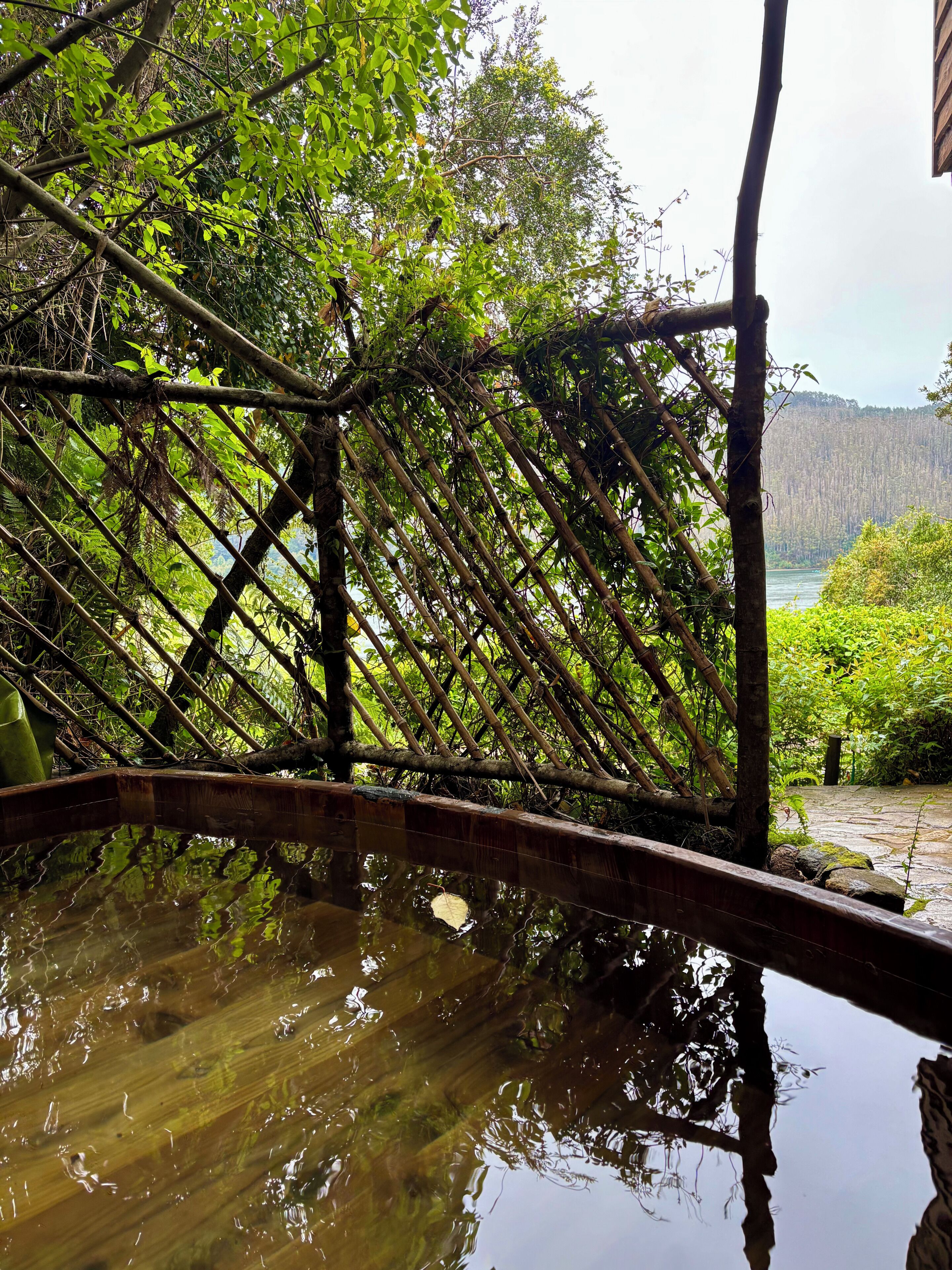 Uma ponte de madeira sobre a água, cercada por vegetação densa e árvores.