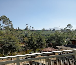 Terrenos do alojamento