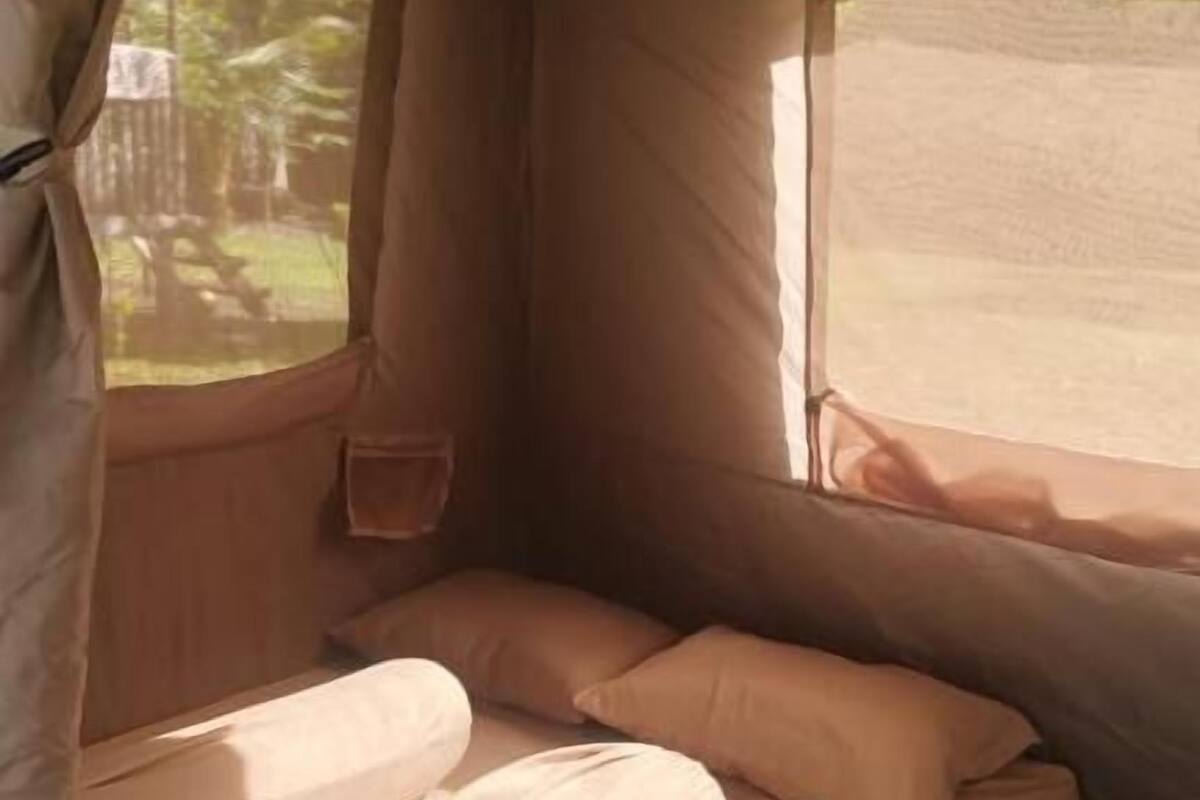 Interior de uma tenda com uma cama, uma pequena janela e um tapete azul.