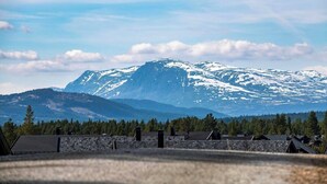 Uma montanha com picos nevados, uma área arborizada em primeiro plano e um céu limpo.