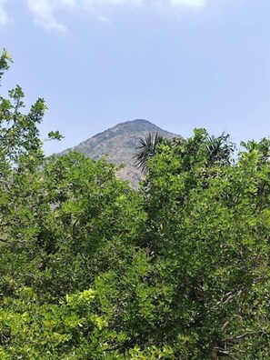 Montanha com vegetação verde densa em primeiro plano.