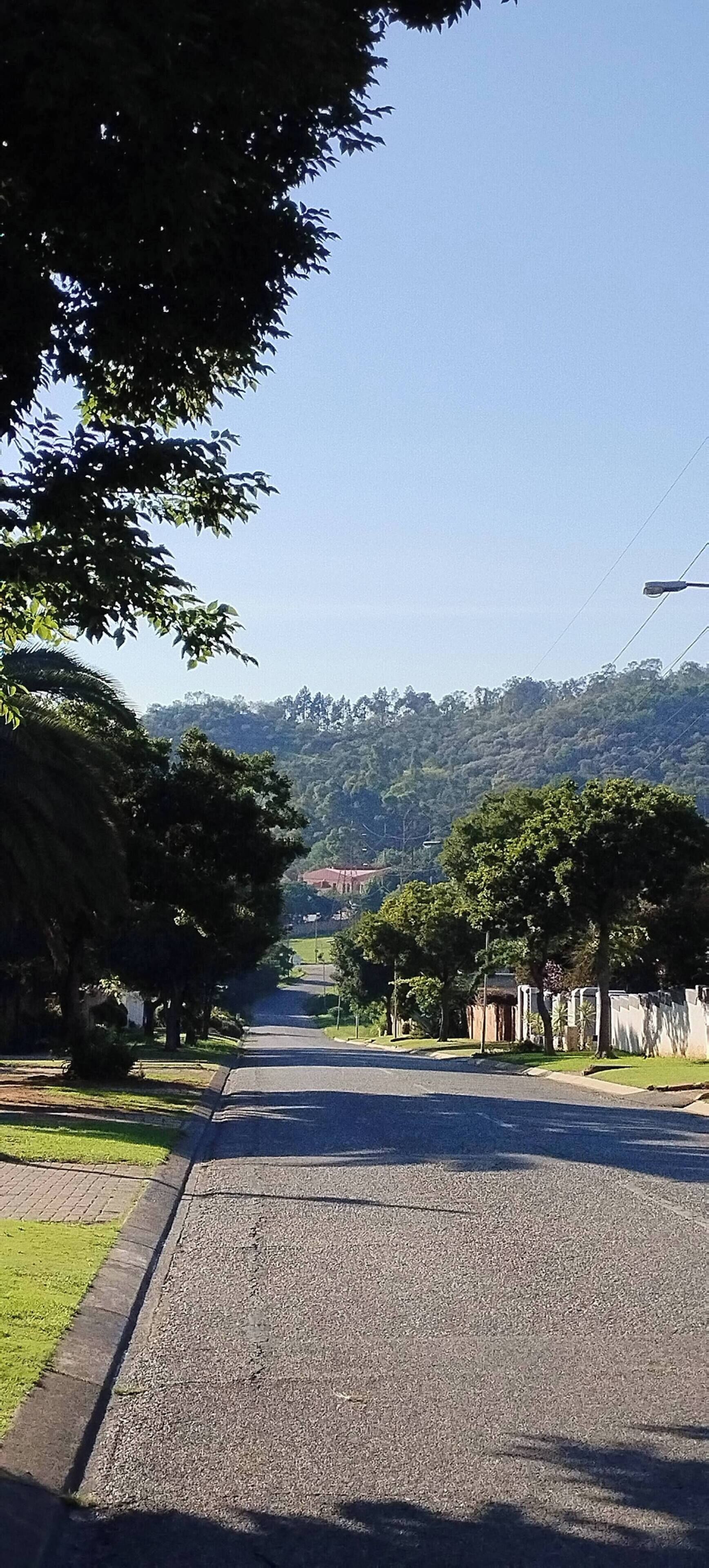 Rua tranquila, arborizada, com vista distante para uma colina.