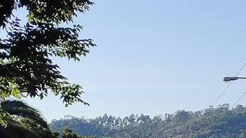 Rua tranquila, arborizada, com vista distante para uma colina.