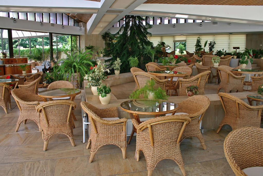 Uma área de pátio interna com móveis de vime, plantas em vasos e vista para o exterior.