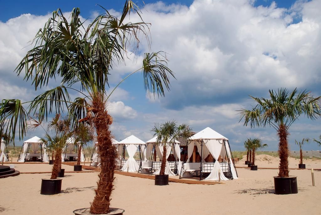 Um resort no deserto com palmeiras, tendas brancas e solo arenoso.