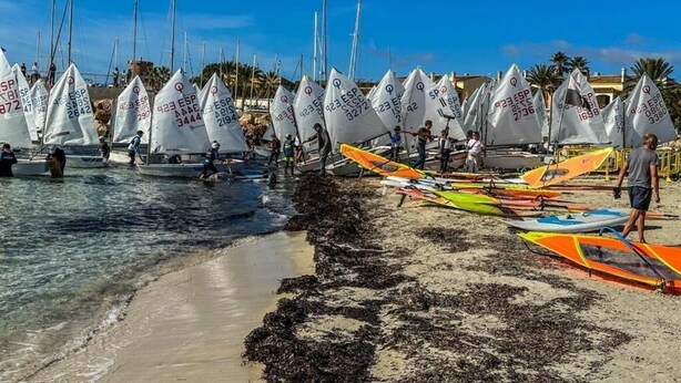 Veleiros alinhados na praia sob um céu claro.