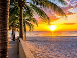 Uma praia com palmeiras e um pôr do sol.