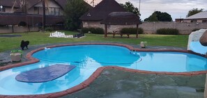 Piscina com borda de pedra, um tabuleiro de xadrez e um cão por perto.