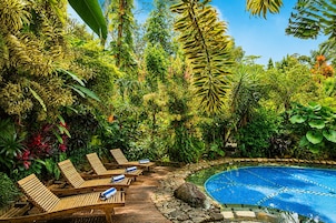 Uma área de piscina com espreguiçadeiras e uma piscina rodeada por vegetação tropical exuberante.