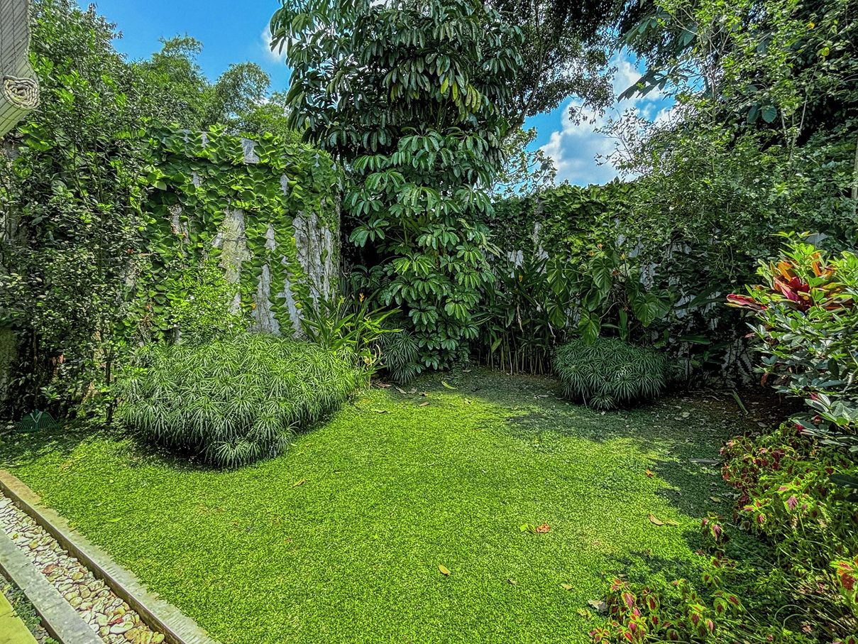 Um jardim bem cuidado com diversas plantas e árvores, céu claro e um caminho de pedra.