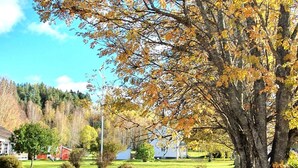 Paisagem rural com uma grande árvore, um campo gramado e um edifício vermelho.