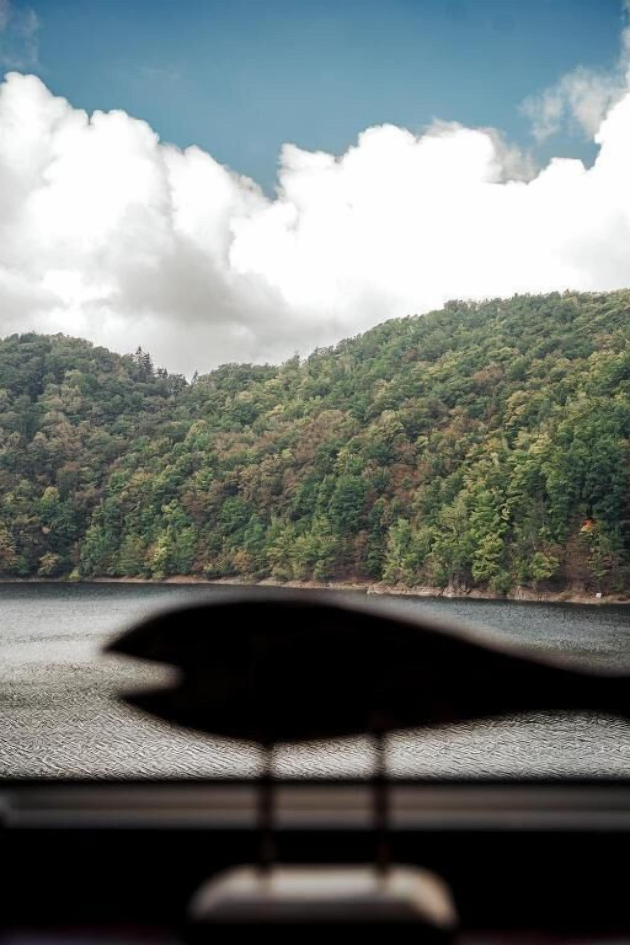 Vista de um lago com uma encosta arborizada ao fundo.