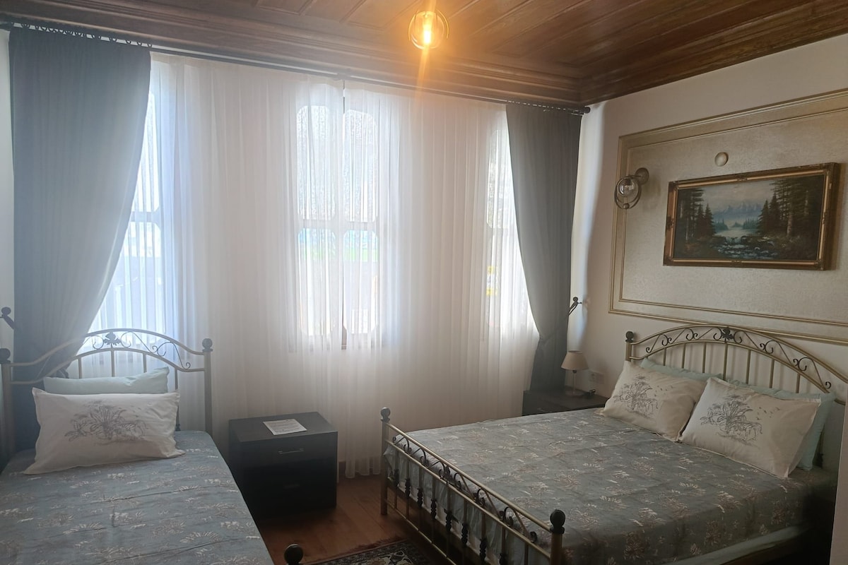 Lençóis de algodão egípcio, roupa de alta qualidade, minibar 