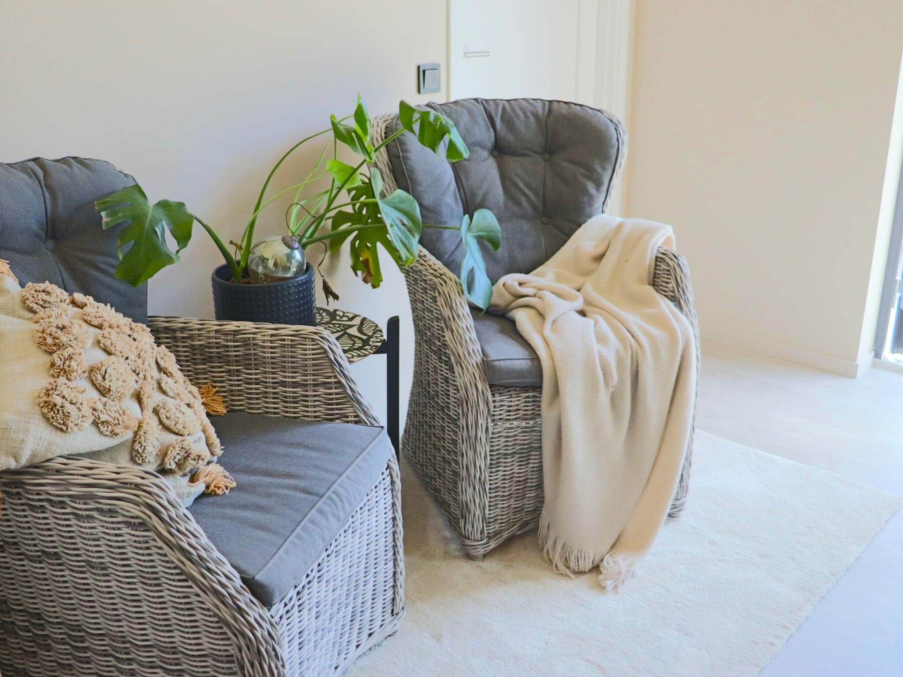 Quarto com sofá cinza, cadeira de vime, planta em vaso e manta.