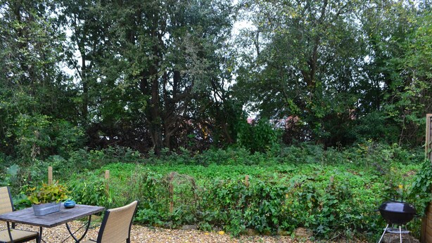 Um pátio com mesa e cadeiras, churrasqueira e um jardim com vegetação densa.