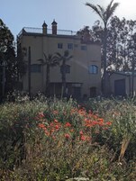 Um edifício grande com varanda, cercado por vegetação densa e palmeiras.